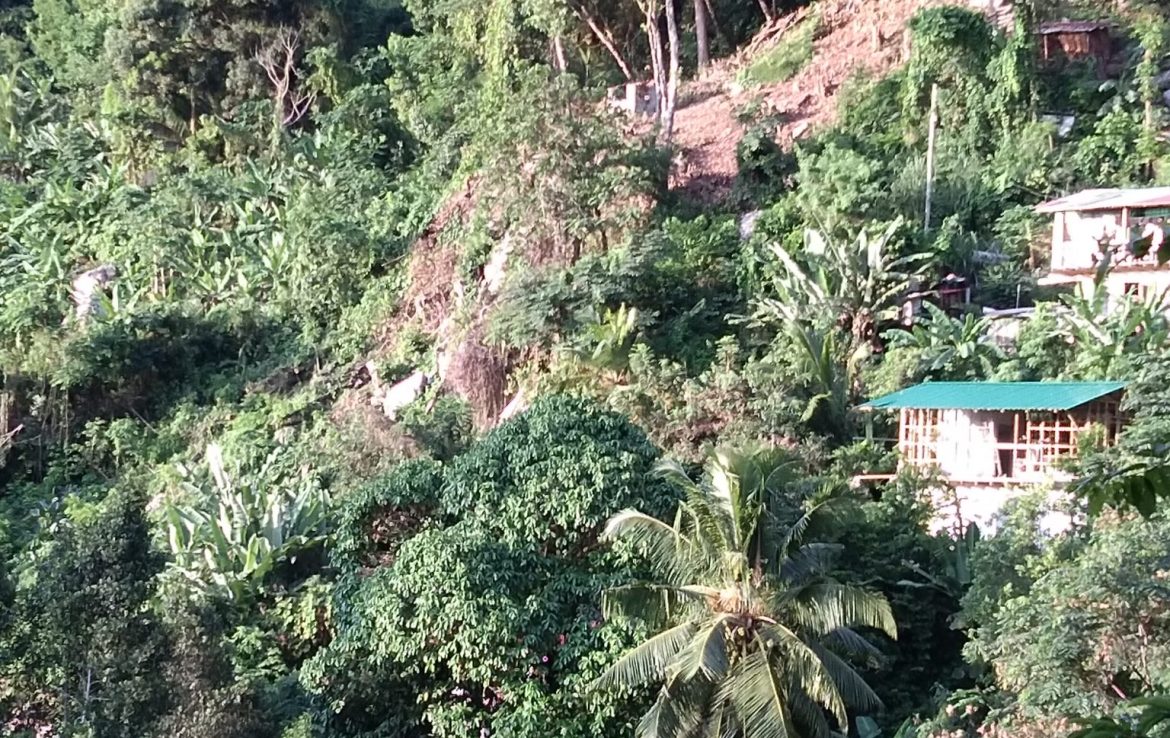Land for sale – Upper La Gogue, Glacis – MyProperty Seychelles
