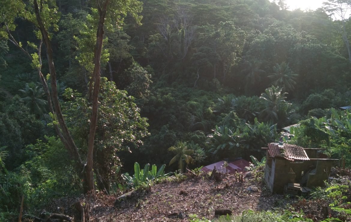 Land for sale – Upper La Gogue, Glacis – MyProperty Seychelles